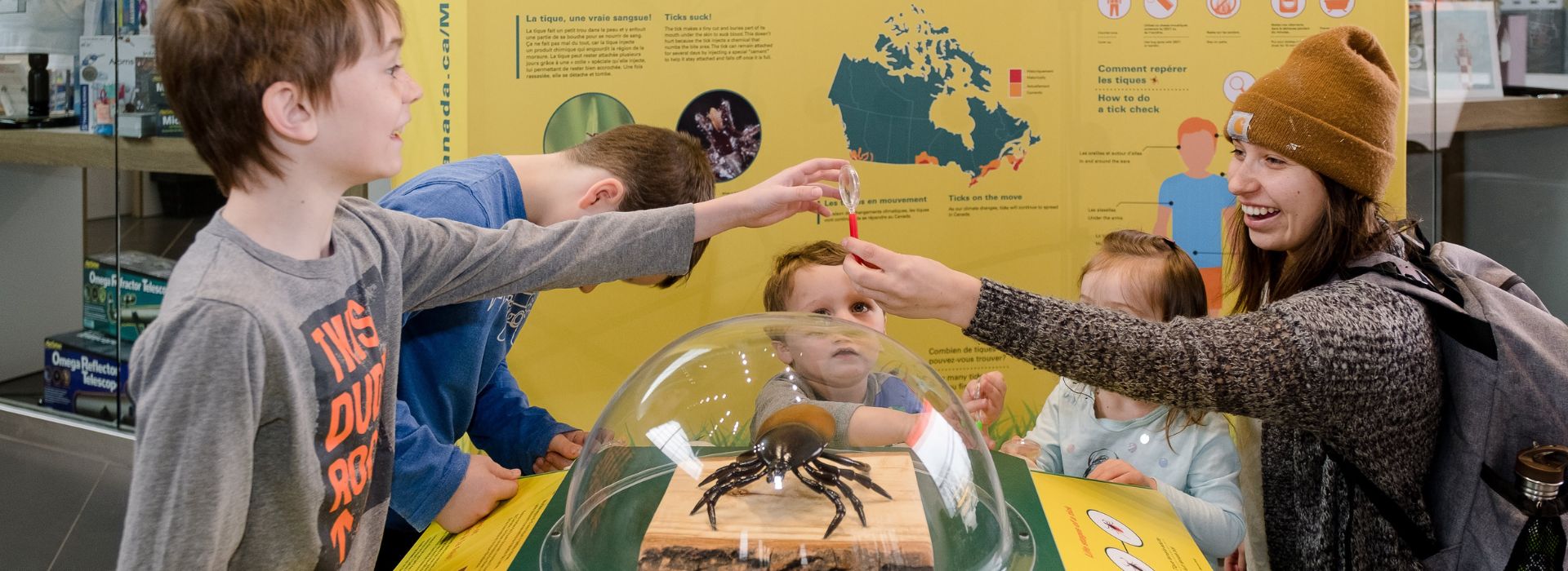 Ticks - Little bugs, big problems | Red Deer Museum + Art Gallery